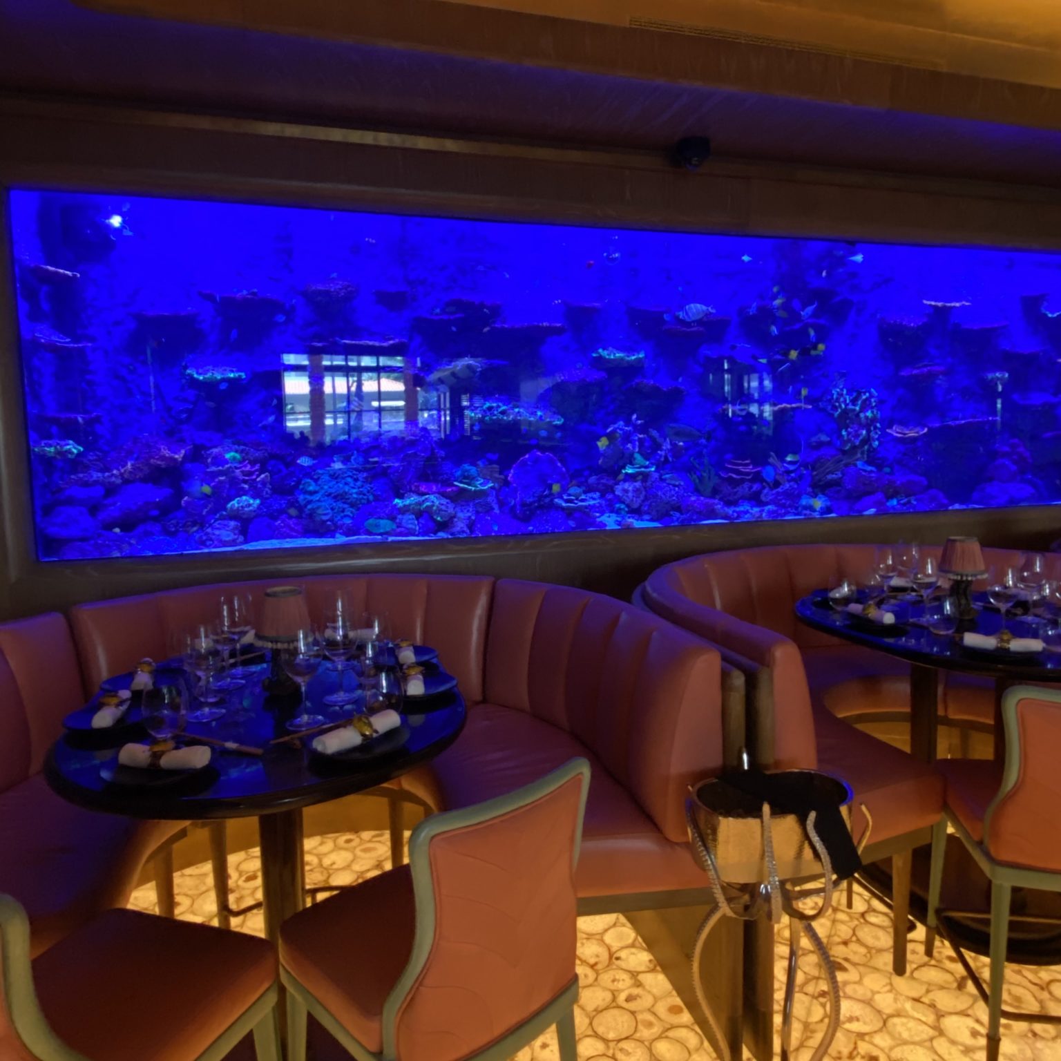 Sexy Fish…Miami Restaurant Review